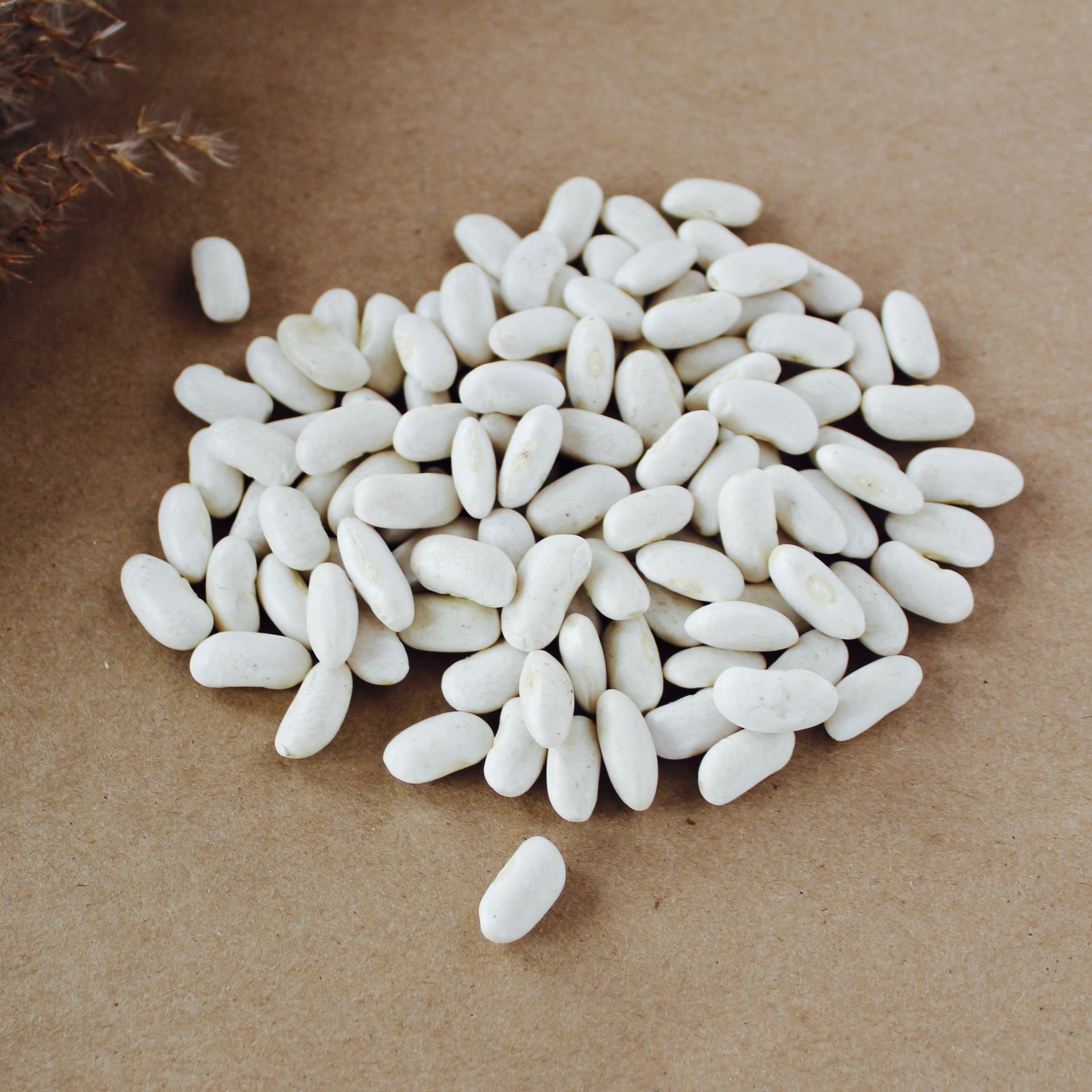 How to Cook Dry Beans (Without Mushy Results) – Fresh Acres
