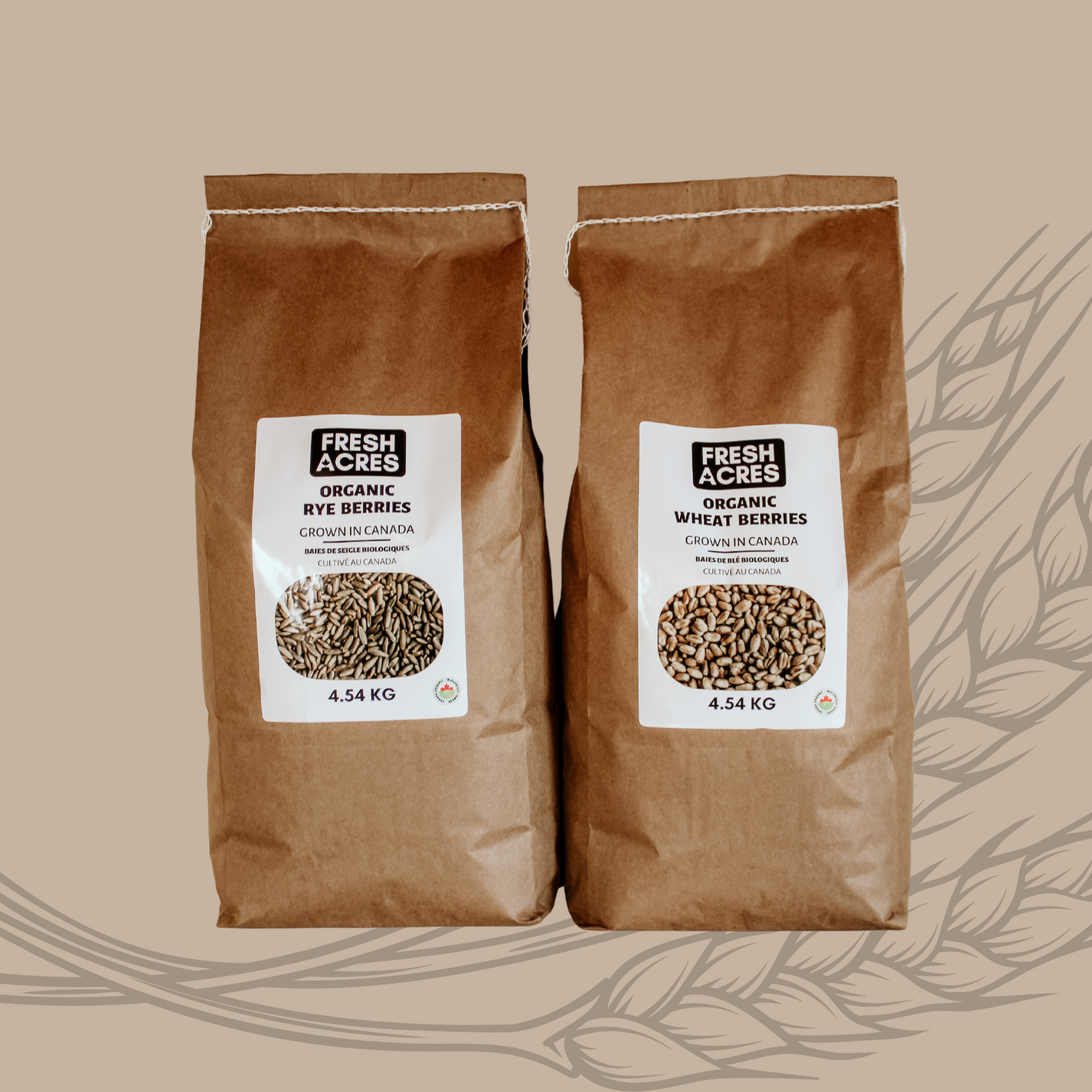Organic Hard Spring Red Wheat Berries – Fresh Acres