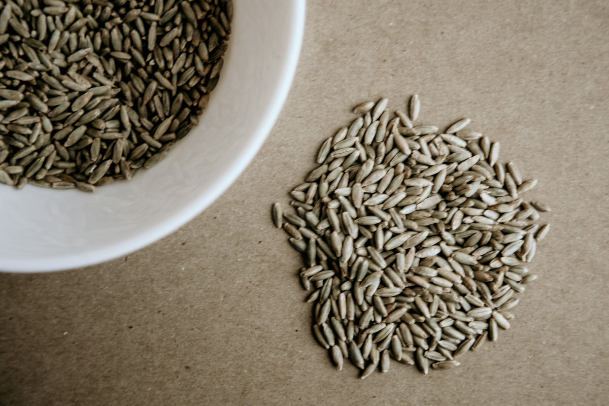 Organic Rye Berries – Fresh Acres
