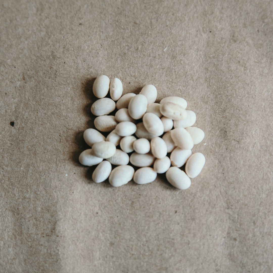 Organic Navy Beans – Fresh Acres