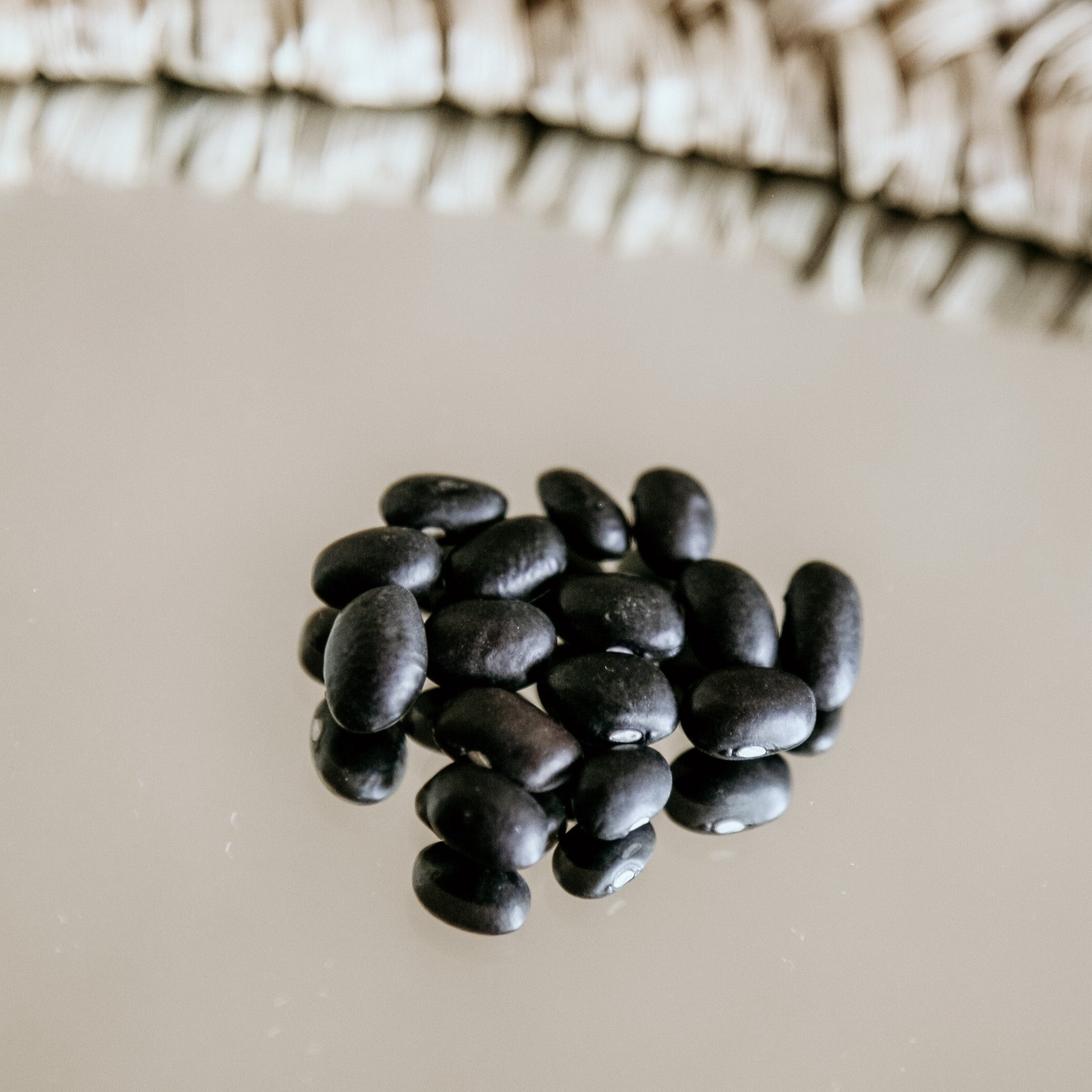 Organic Beans – Fresh Acres